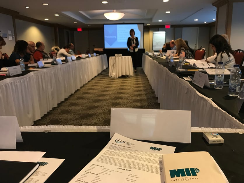 Professional Development at MIP - CLLM Training